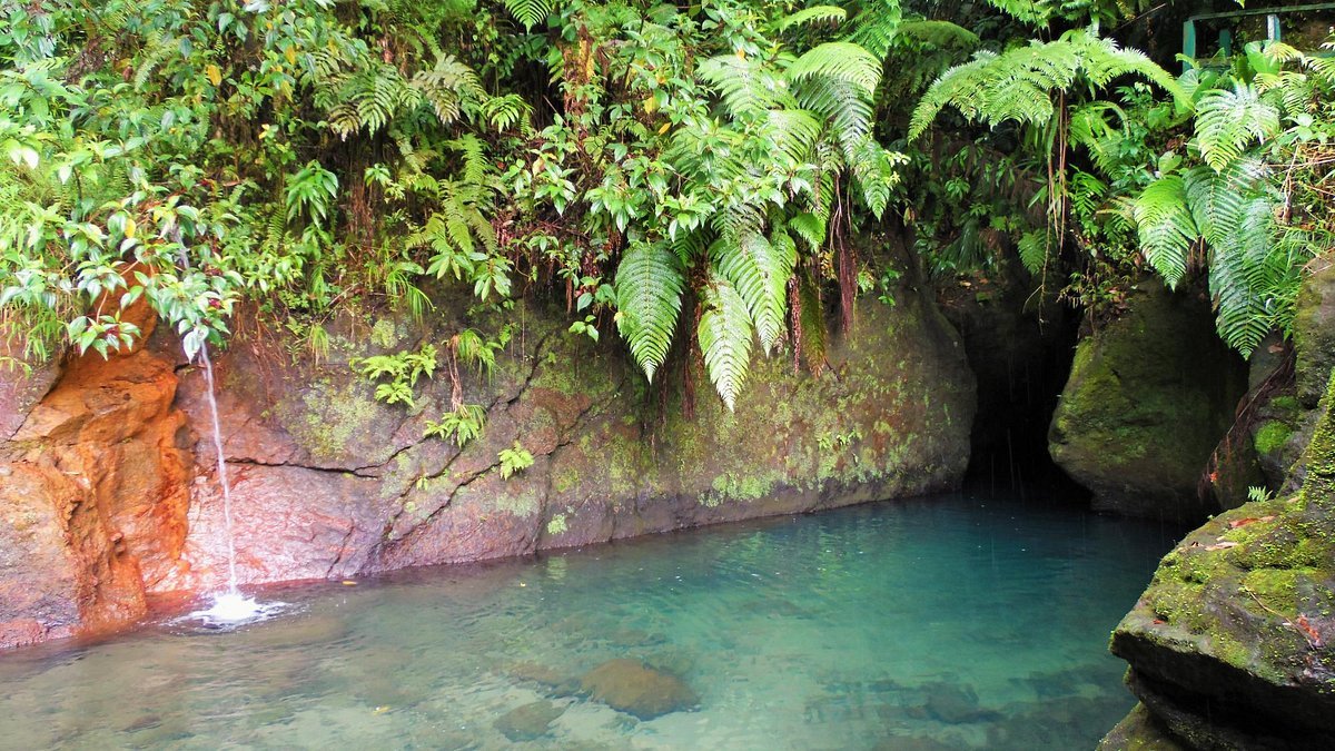 Titou Gorge - Dominica Taxi And Tours